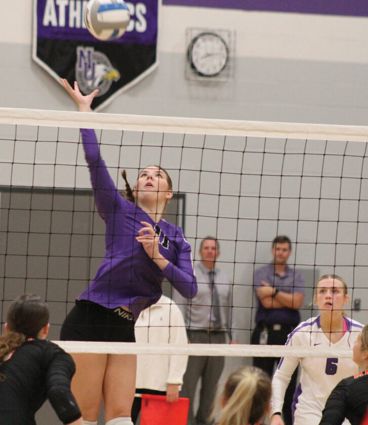 Tigers drop Eagles in sweep | News, Sports, Jobs - The Journal